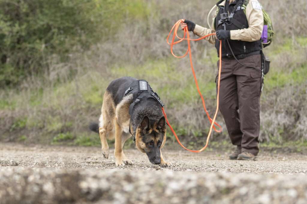 Training Space Reservations - National Disaster Search Dog Foundation