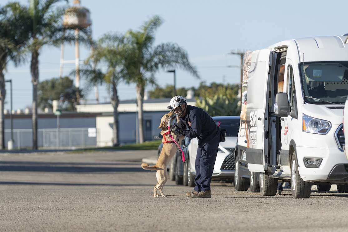 Meet the four newest search teams to join the SDF roster! - National ...