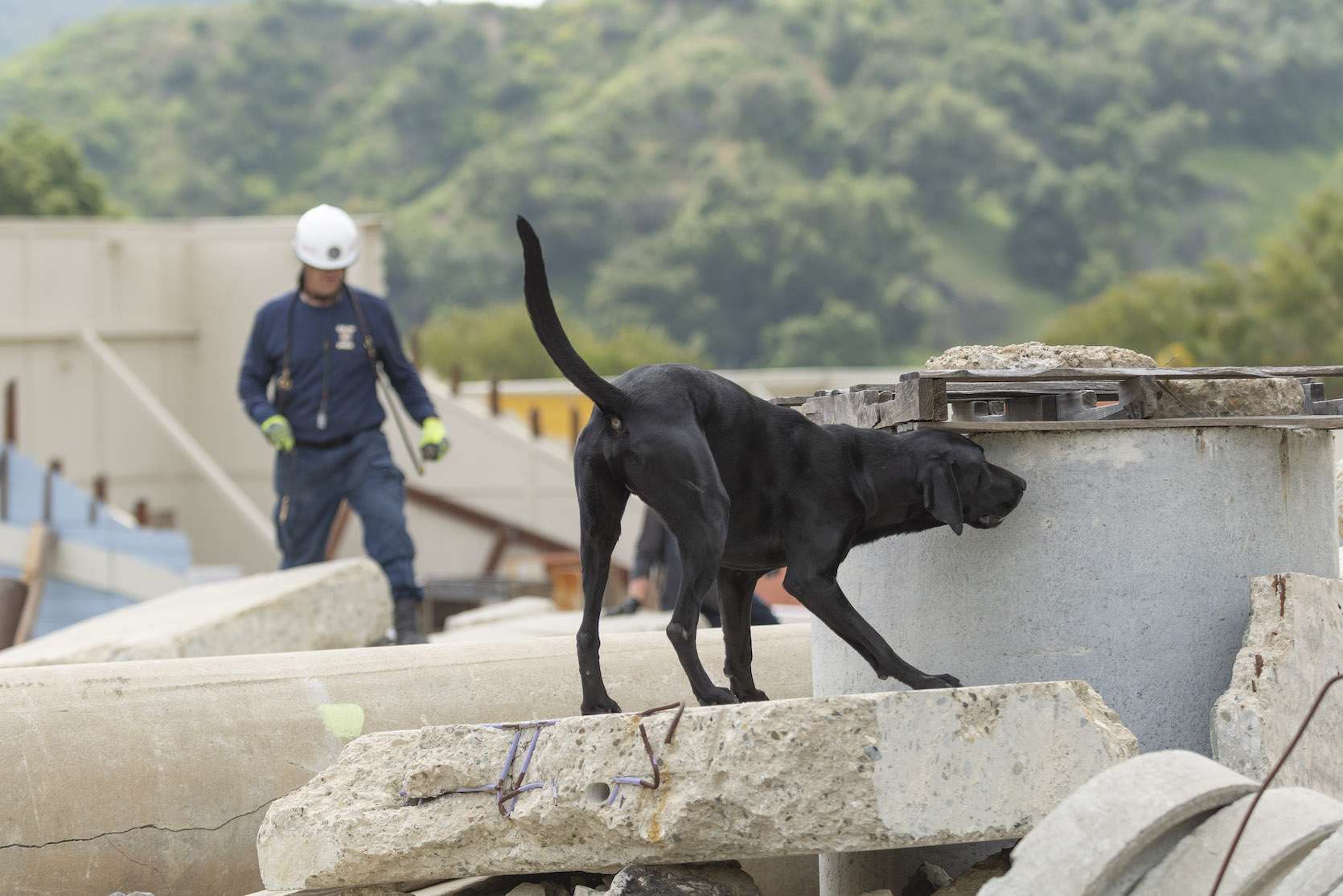 Training Space Reservations - National Disaster Search Dog Foundation