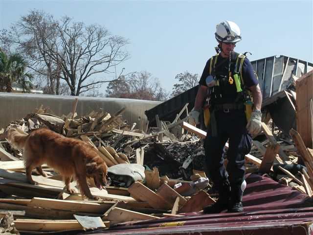 In memoriam: Founding Handler Randy Gross - National Disaster Search ...