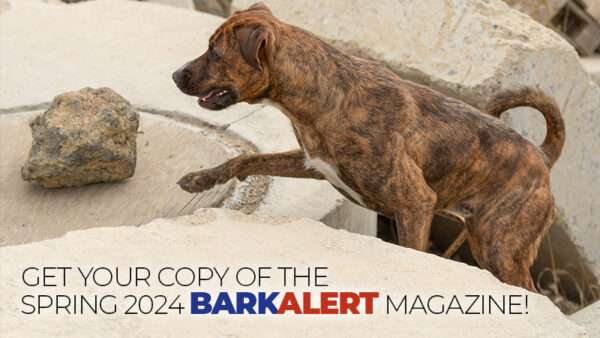 Get Your Copy of the 2024 Spring Bark Alert Magazine! - National ...