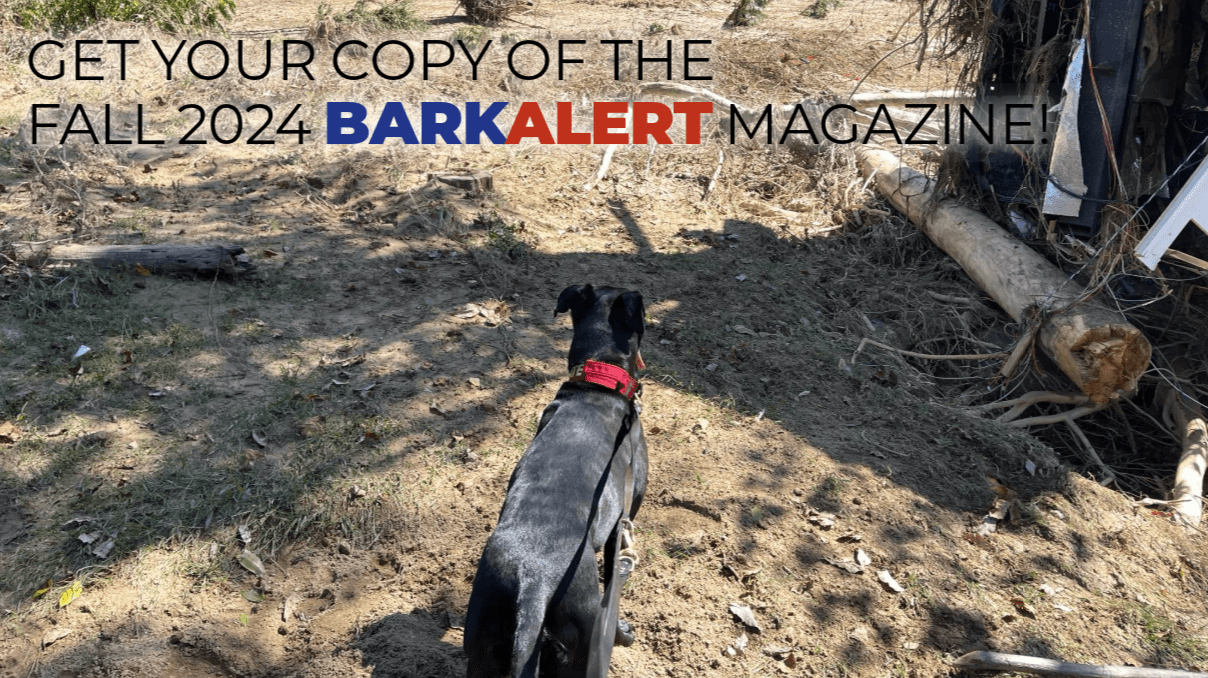 Get Your Copy of the 2024 Fall Bark Alert Magazine!