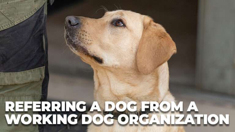 Canine Recruitment - Referring a dog from a working dog organization