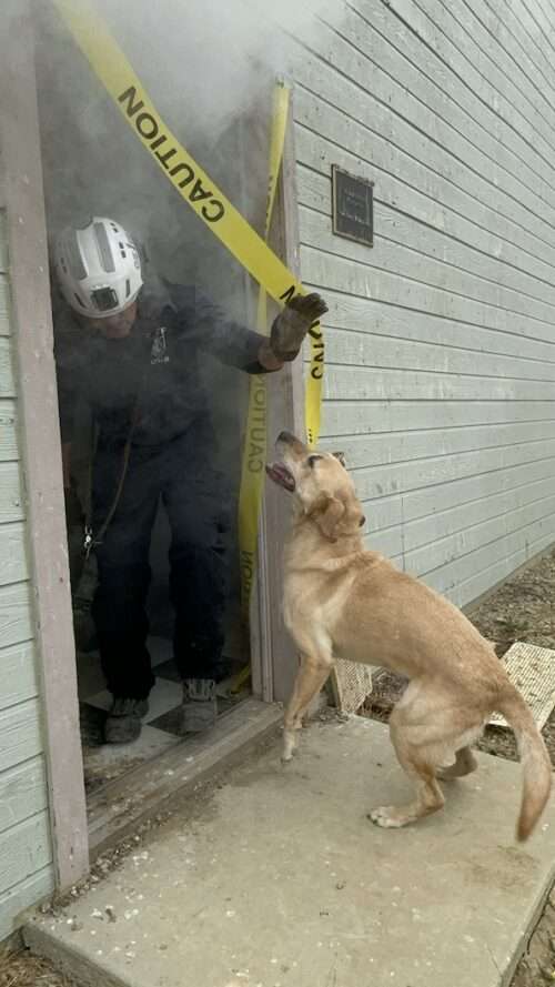Training Events - National Disaster Search Dog Foundation