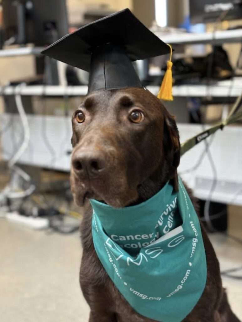Happy Tails - Timmy's fans rally around him as his health journey continues