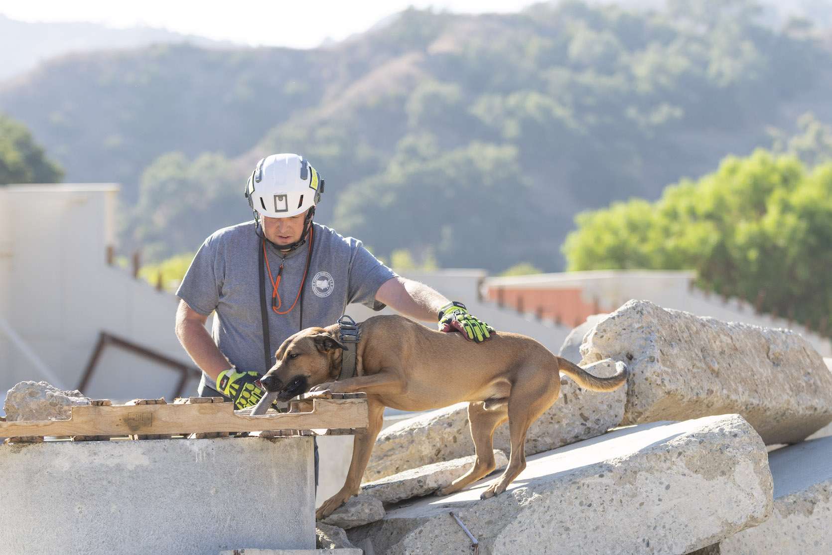 Training Events - National Disaster Search Dog Foundation
