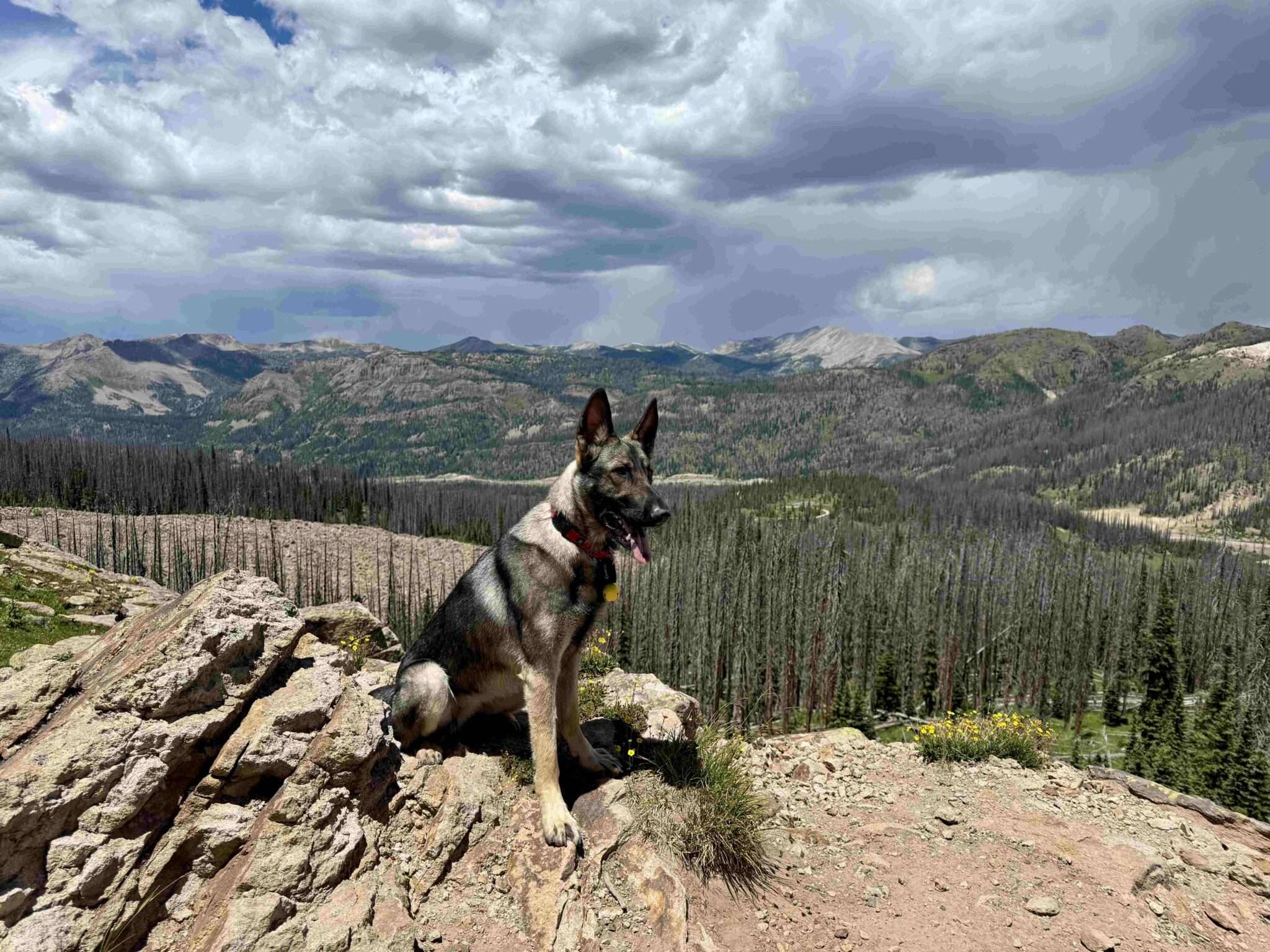 Briseis' Extraordinary Journey from Uncertainty to Purpose