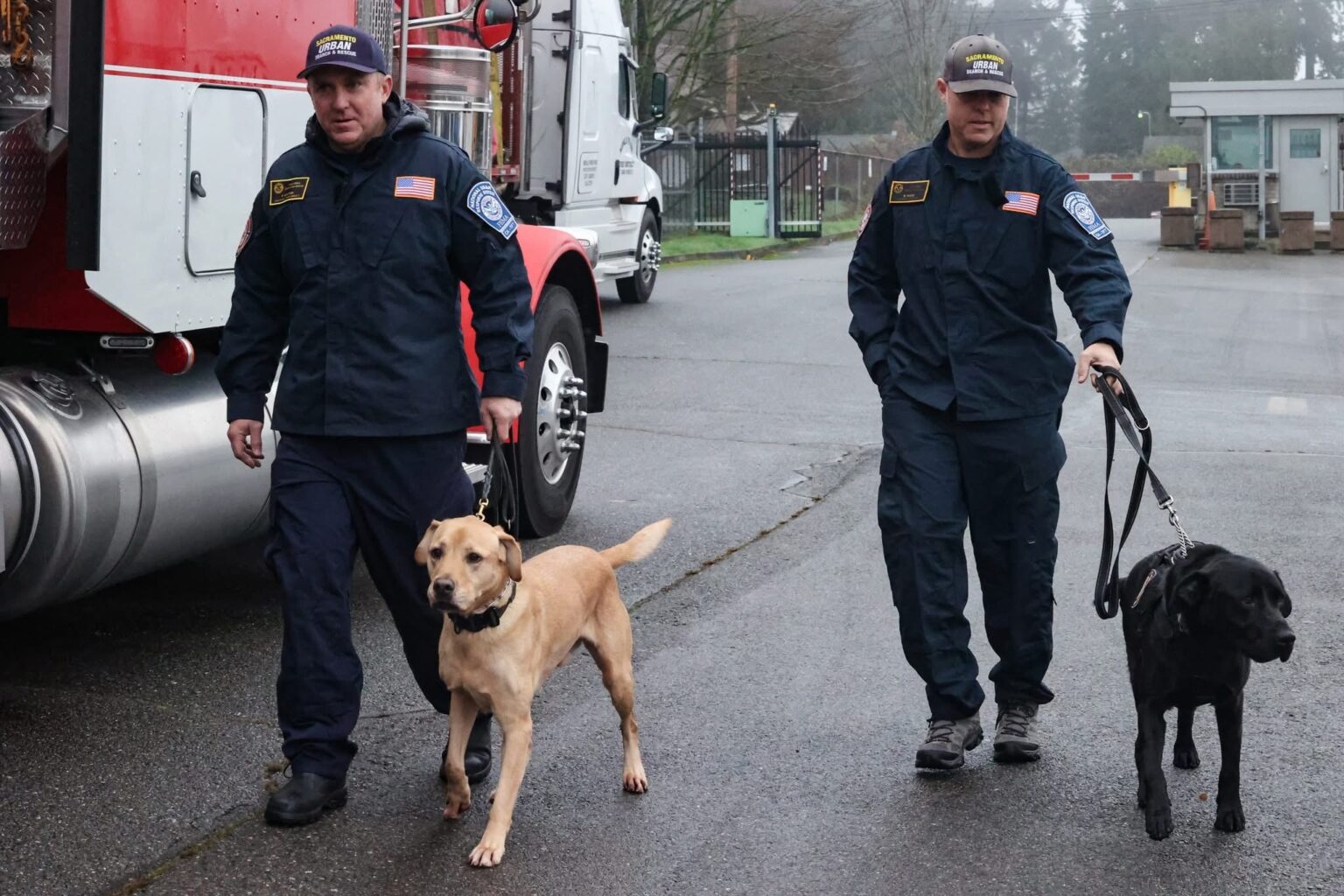 SDF-Trained Search Teams Deploy to Washington State in Wake of Massive ...